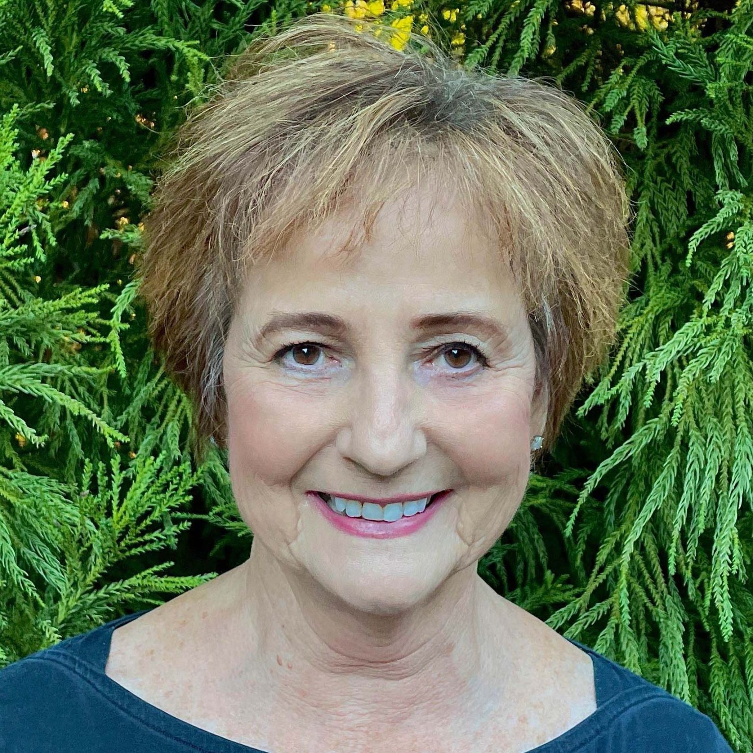 Providers - Fresh Start for the Mind